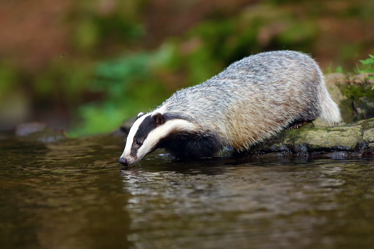 Colliford water efficiency tariff | South West Water