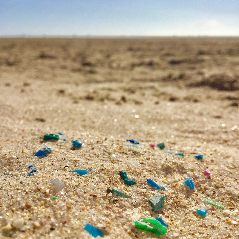 Microplastics | South West Water