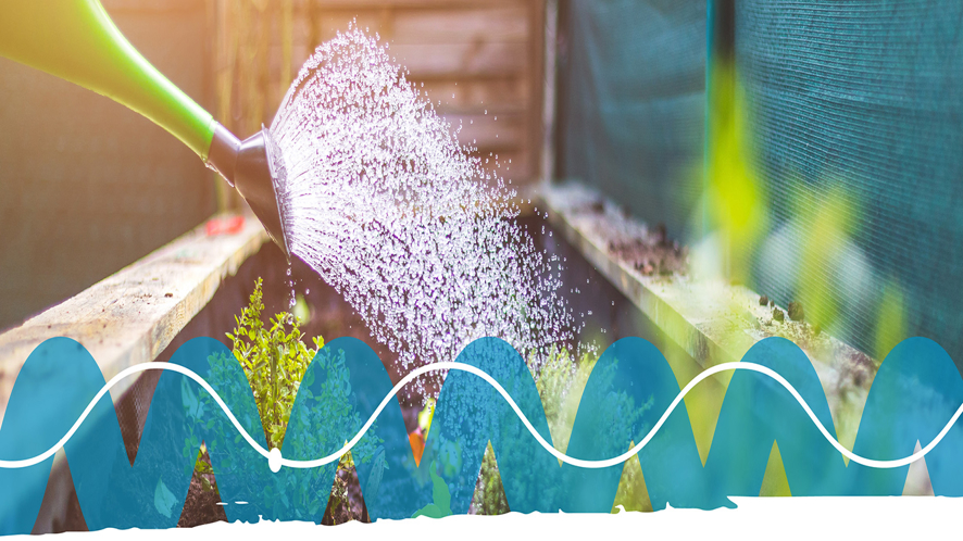 Top tips to save water in your garden