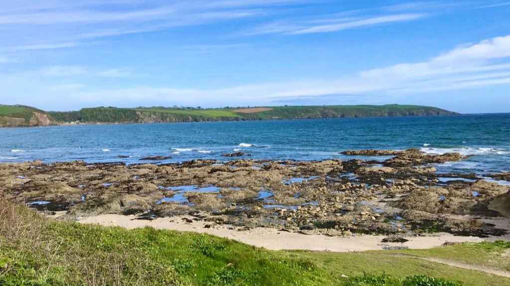 In your area | South West Water